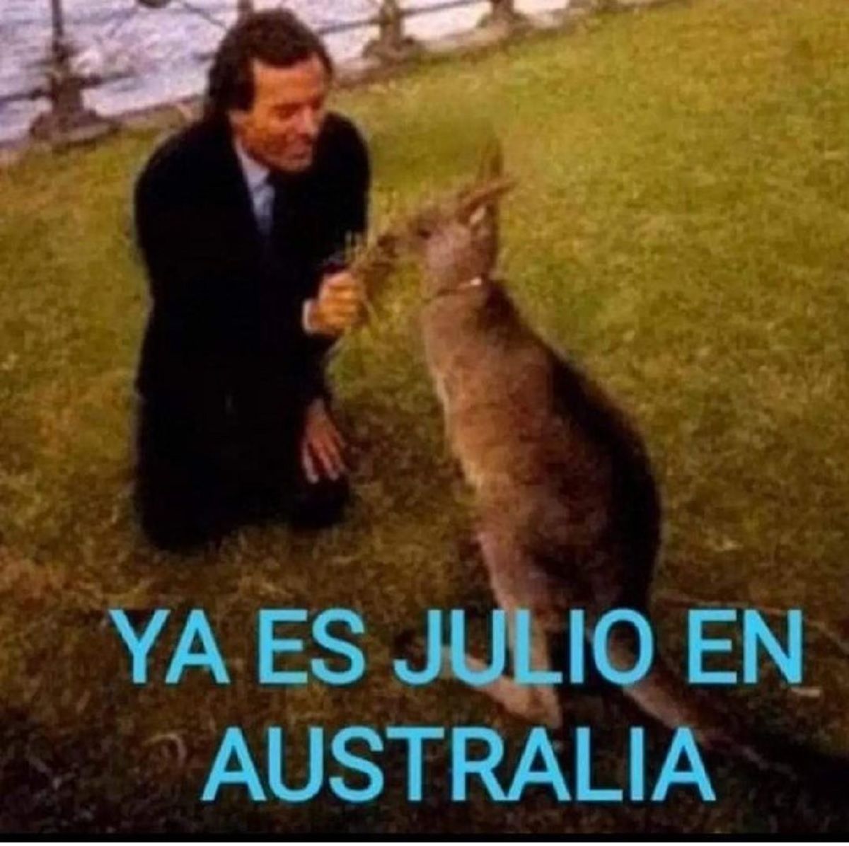 Los mejores memes de Julio Iglesias, palpitando la llegada del mes de julio