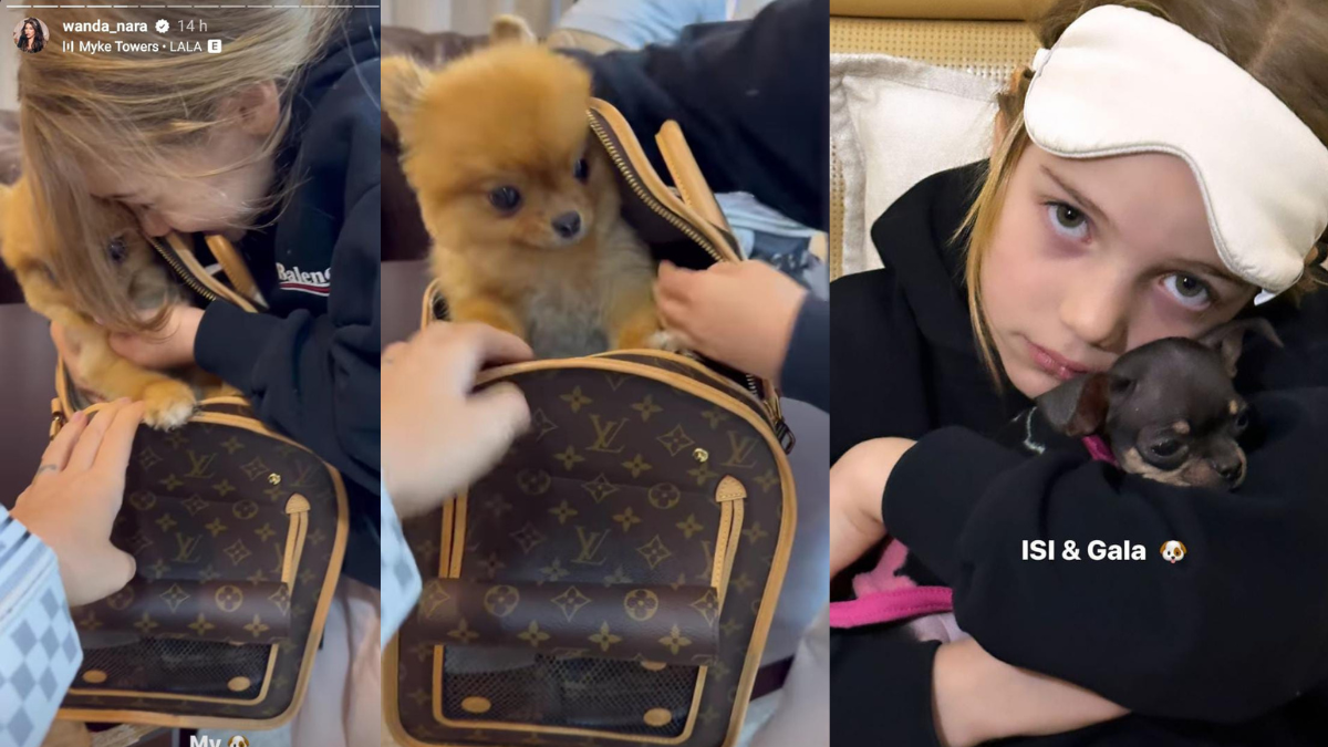 ¿Cómo se llaman las tiernas perritas de Wanda Nara con las que viajaron ...