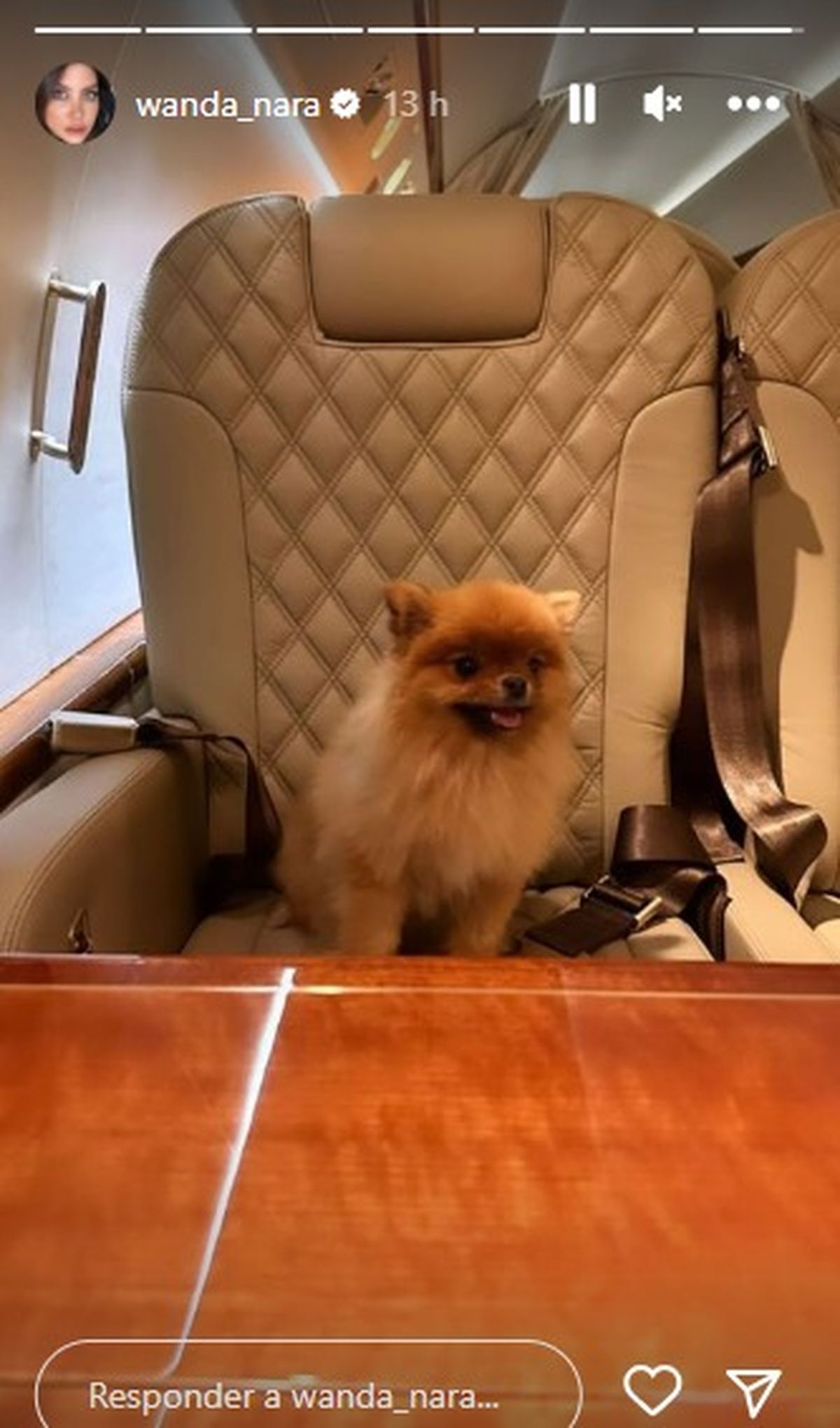 Además de Mauro Icardi y sus hijas, Wanda Nara se reunió con otra ...